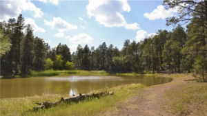 The Prescott Fishing Guide, Stocking Schedule, License Info | Prescott ...